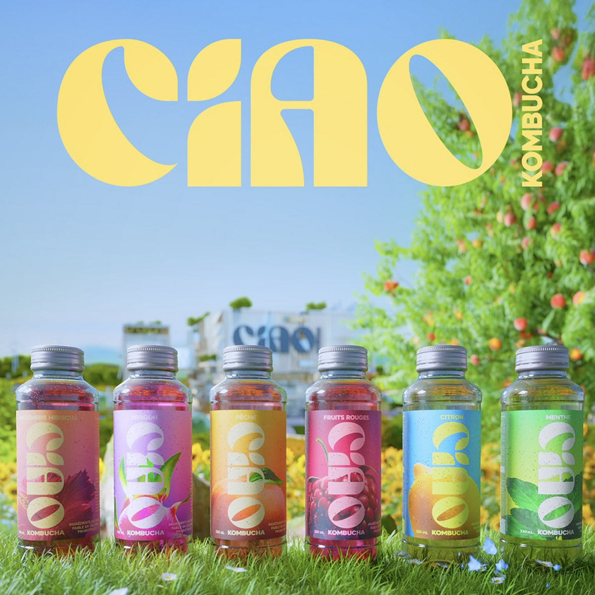 Squeezie lance un Kombucha : un tournant pour les boissons fermentées ...