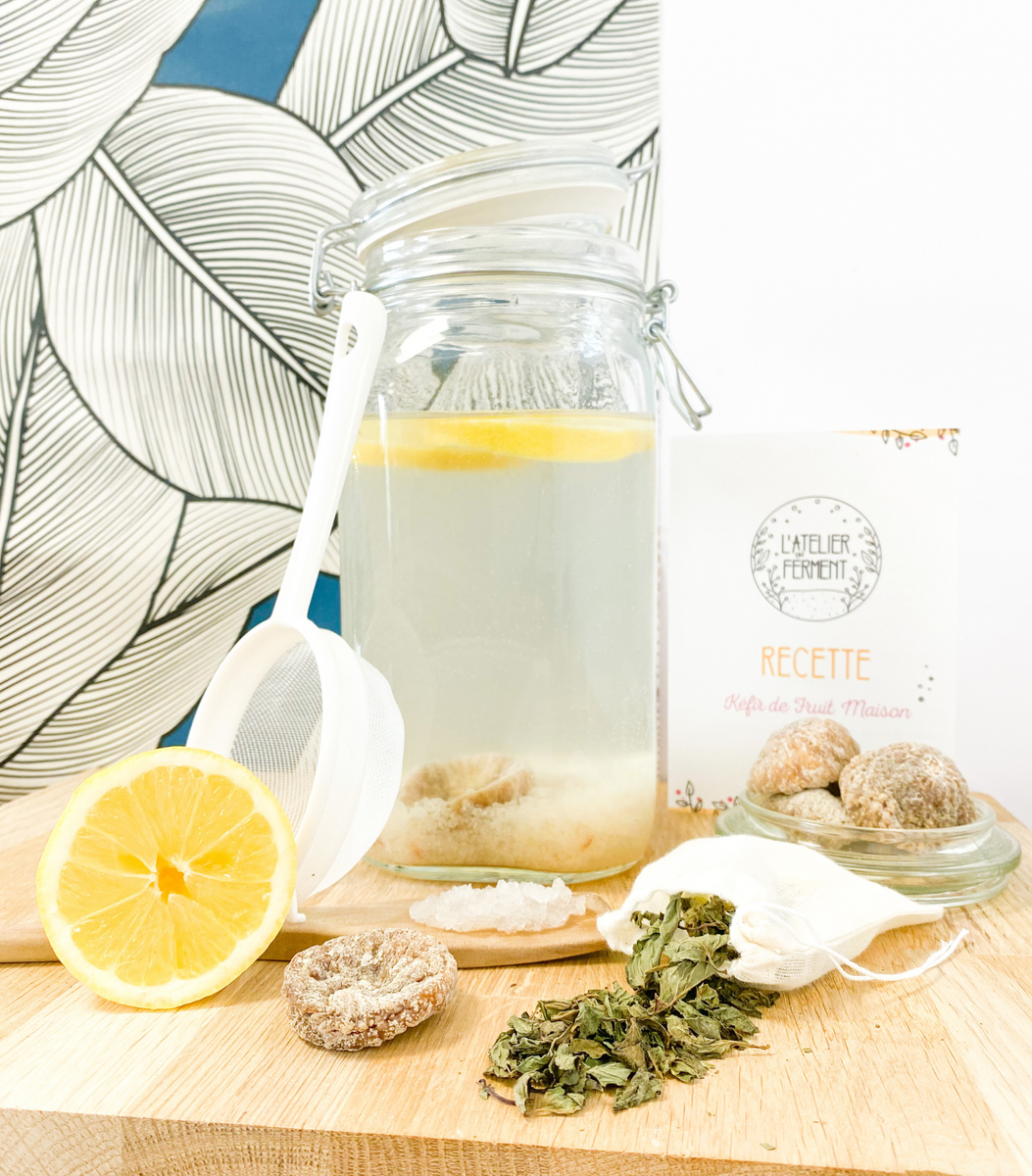 Kit de fabrication maison pour Kéfir de fruits Menthe poivrée – L ...